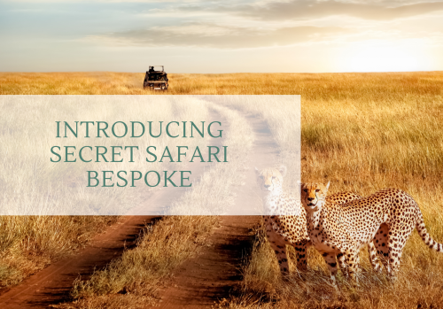 Secret Safari