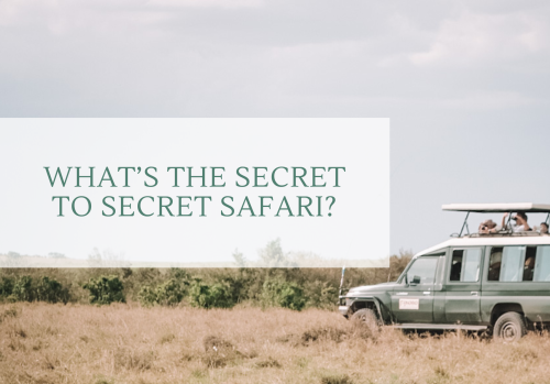 The Best Off-Season Tips for Travelling Kenya