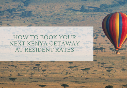The Best Off-Season Tips for Travelling Kenya
