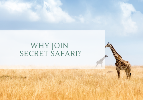 Secret Safari